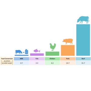How to Effectively Use a Feed Conversion Ratio Calculator for Farmed ...