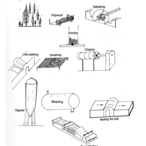 Understanding Paper Mill Machinery: From Pulp to Paper Products - UDTECH