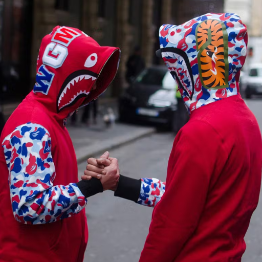 Unraveling the Mystique of BAPE Hoodies - UDTECH