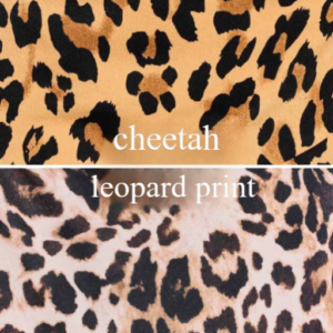Understanding Cheetah vs Leopard Print: The Differences and Their ...